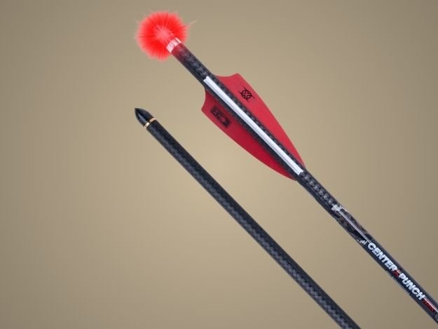 Lighted CenterPunch HPX Premium Carbon Arrows (3-pack) - Perfect 10 ...